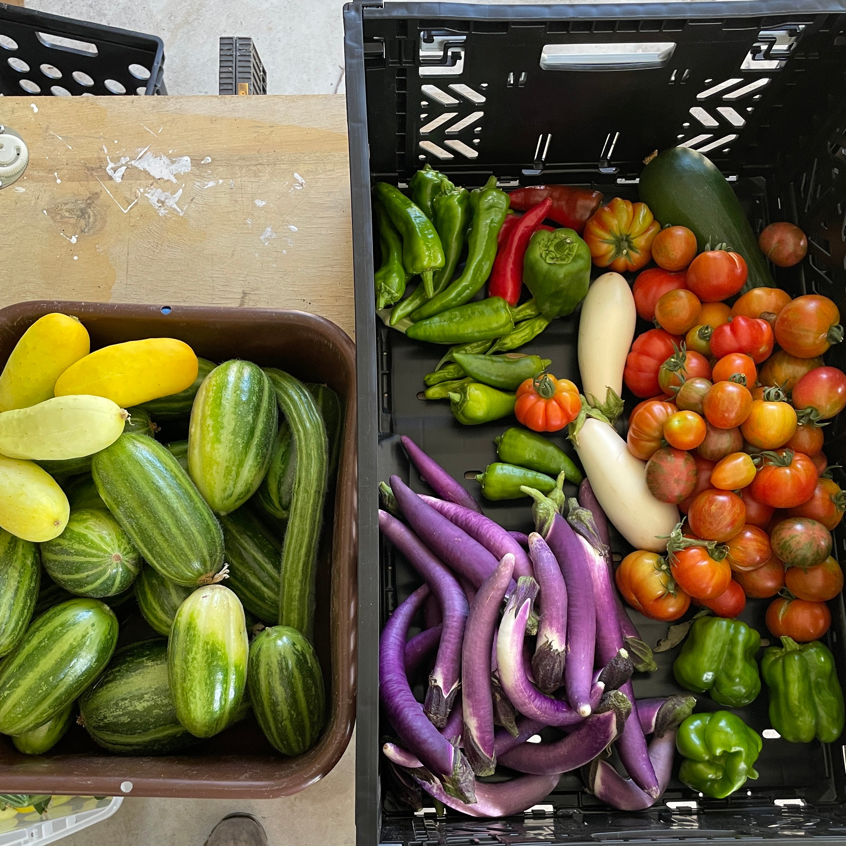 Produce – Faircrest Farms